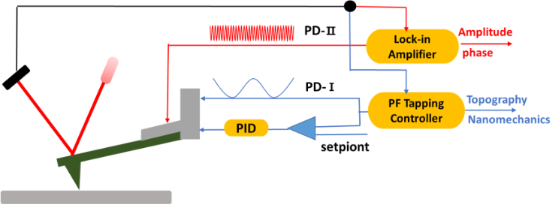 BJNANO - Multifrequency AFM integrating PeakForce tapping and higher ...