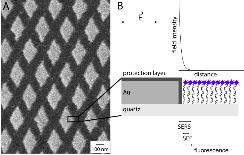BJNANO - BJNANO - Nanophotonics, nano-optics and nanospectroscopy
