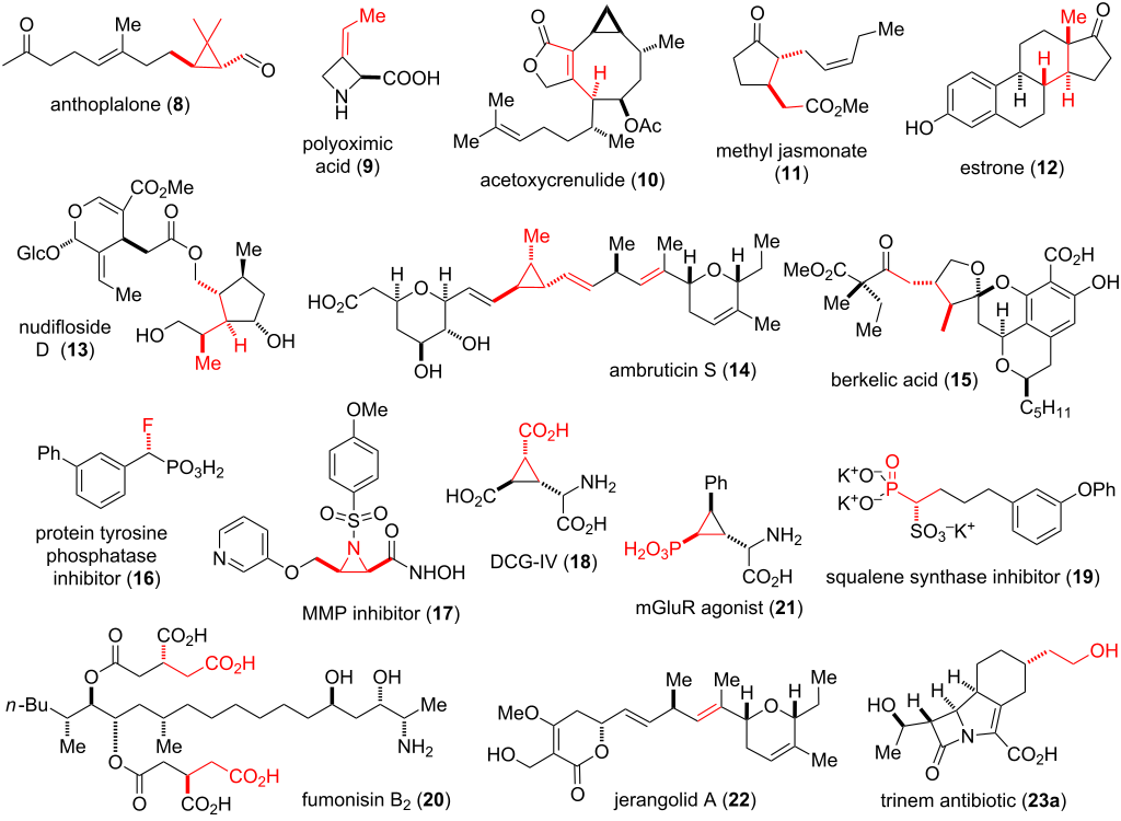 Application of cyclic phosphonamide reagents in the total synthesis of ...
