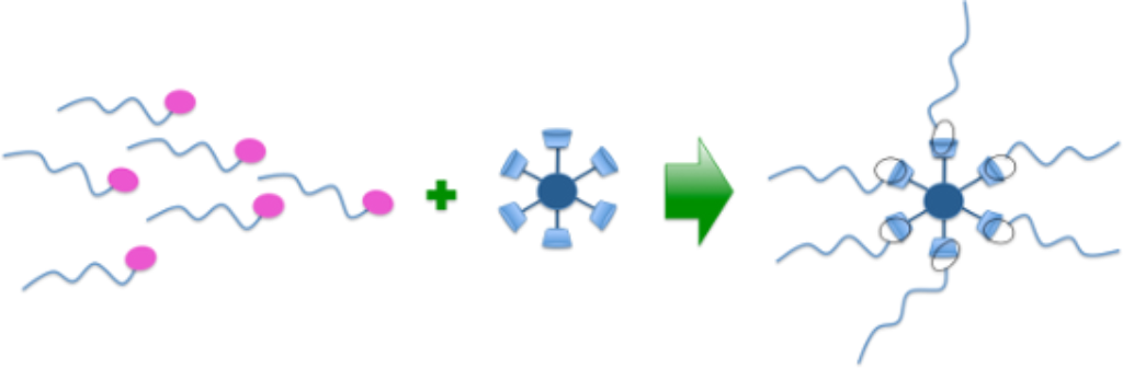 End group functionalization of poly(ethylene glycol) with ...