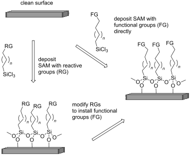 Vinyl Functional Group