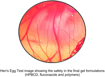 Cyclodextrin–polysaccharide-based, in situ-gelled system for ocular ...