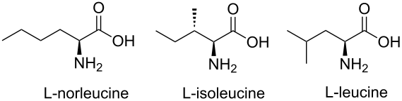 Molecular recognition of isomeric protonated amino acid esters ...