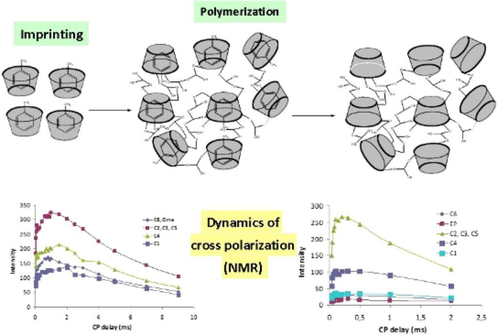 BJOC - Polydisperse methyl β-cyclodextrin–epichlorohydrin polymers ...
