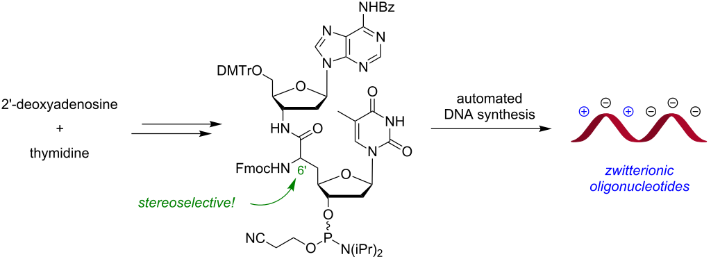 NAA-modified DNA oligonucleotides with zwitterionic backbones ...