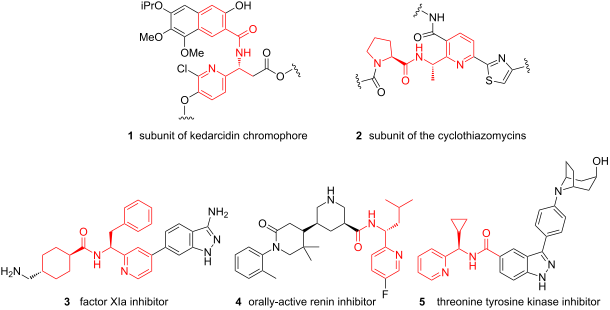 A convergent, umpoled synthesis of 2-(1-amidoalkyl)pyridines