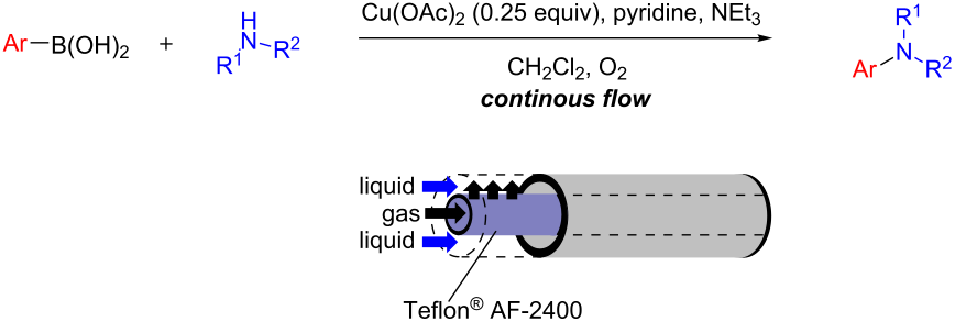 Catalytic Chan–Lam coupling using a ‘tube-in-tube’ reactor to deliver ...