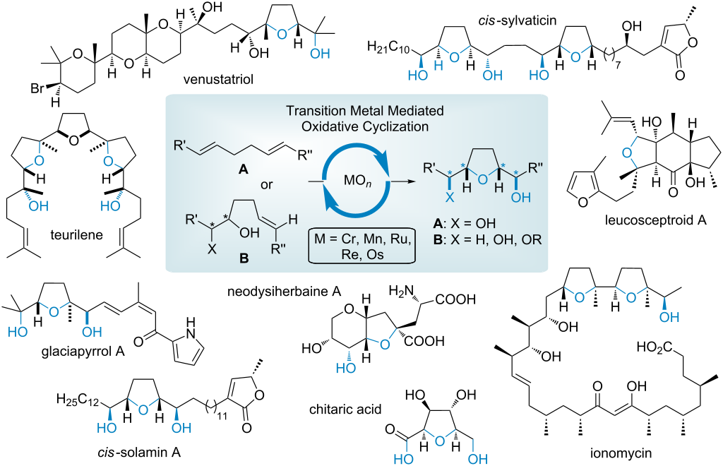 The direct oxidative diene cyclization and related reactions in natural ...
