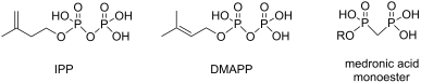Synthesis of medronic acid monoesters and their purification by high ...