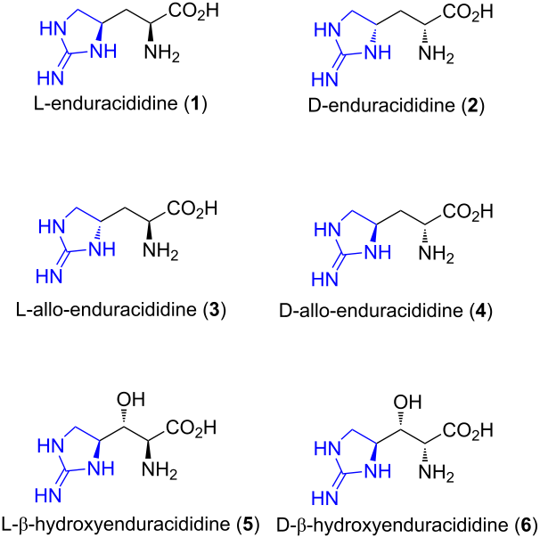 Enduracididine, a rare amino acid component of peptide antibiotics ...