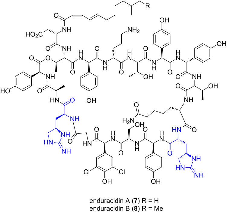 Enduracididine, a rare amino acid component of peptide antibiotics ...