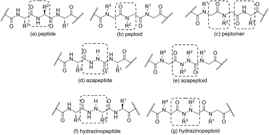 Synthesis of acylhydrazino-peptomers, a new class of peptidomimetics ...