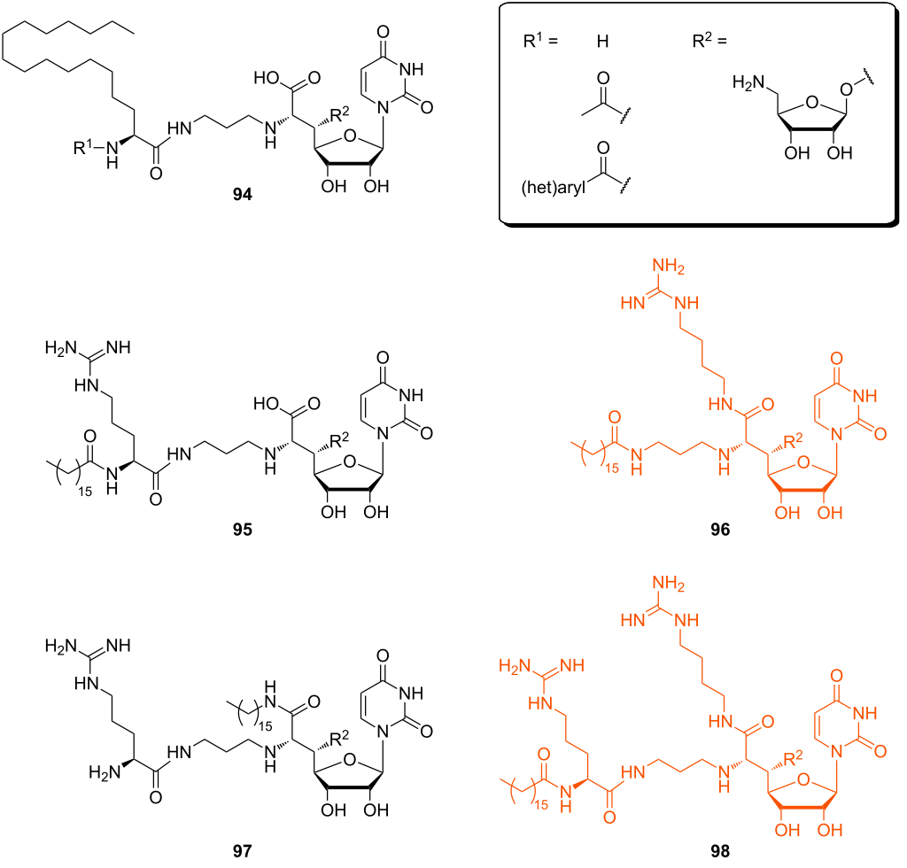 Muraymycin nucleoside-peptide antibiotics: uridine-derived natural ...