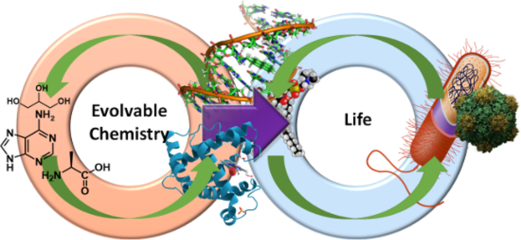 BJOC - A recursive microfluidic platform to explore the emergence of ...