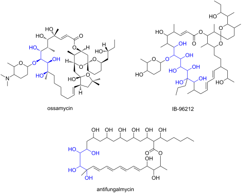 Biosynthetic origin of butyrolactol A, an antifungal polyketide ...