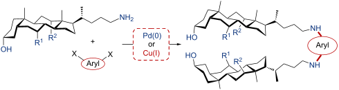 Pd- and Cu-catalyzed approaches in the syntheses of new cholane ...