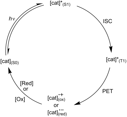 Applications of organocatalysed visible-light photoredox reactions for ...