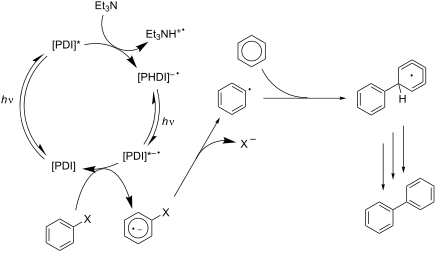 Applications of organocatalysed visible-light photoredox reactions for ...