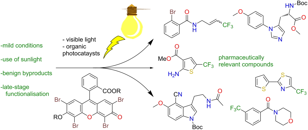 Applications of organocatalysed visible-light photoredox reactions for ...