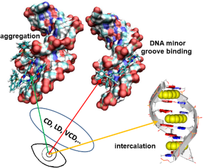 Polarization spectroscopy methods in the determination of interactions ...