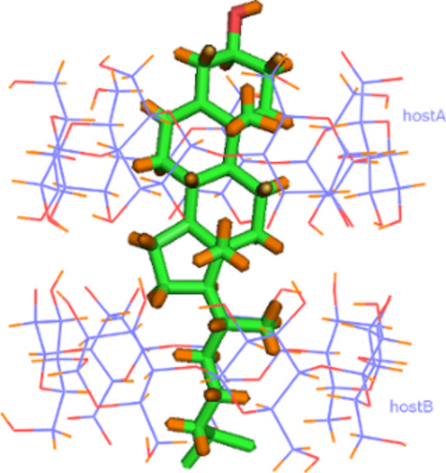 BJOC - Crystal structure of the inclusion complex of cholesterol in β ...