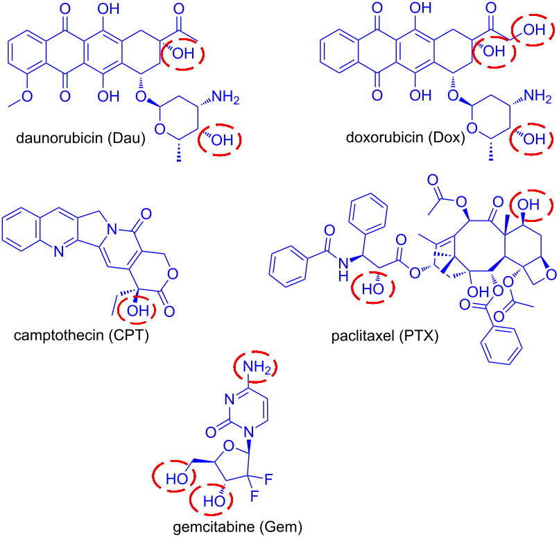 BJOC - BJOC - Peptide–drug conjugates