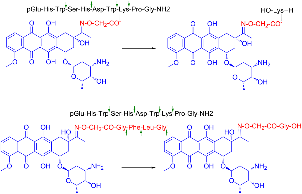 BJOC - BJOC - Peptide–drug conjugates
