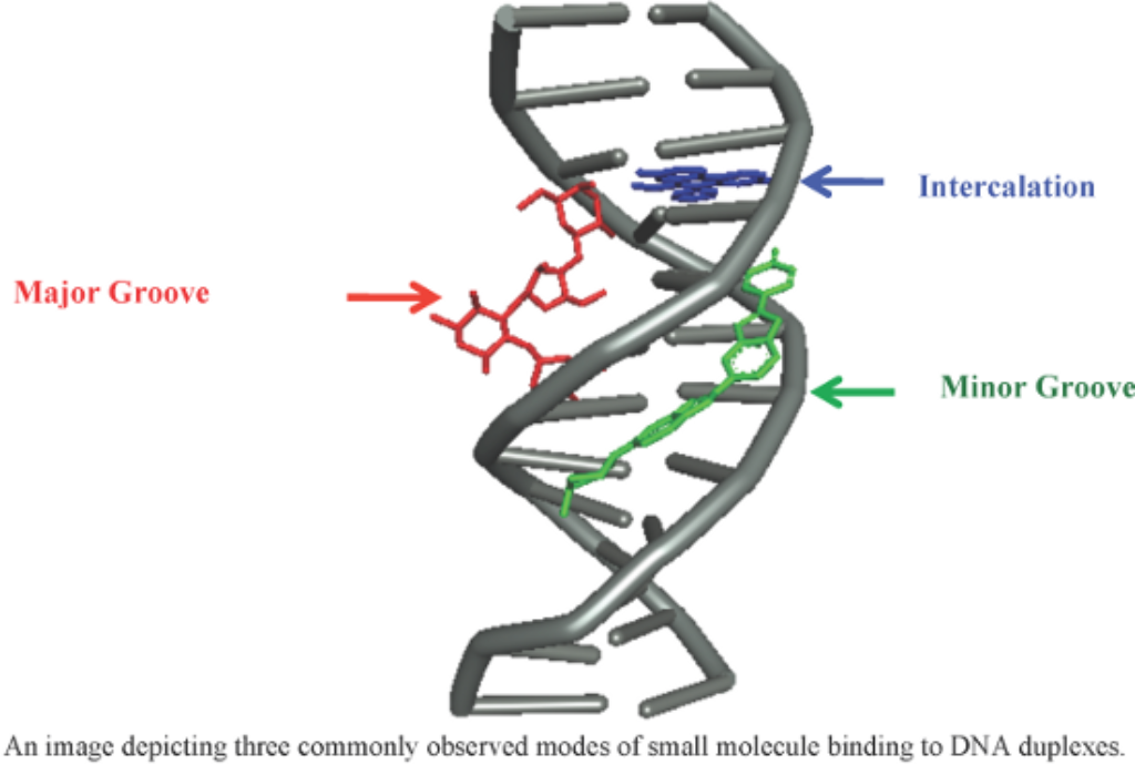 BJOC - An overview of recent advances in duplex DNA recognition by ...
