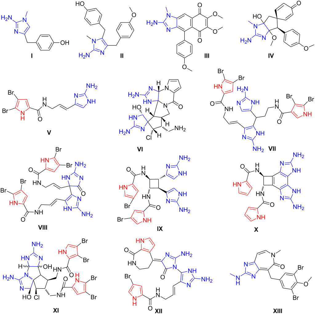 Novel (2-amino-4-arylimidazolyl)propanoic acids and pyrrolo[1,2-c ...