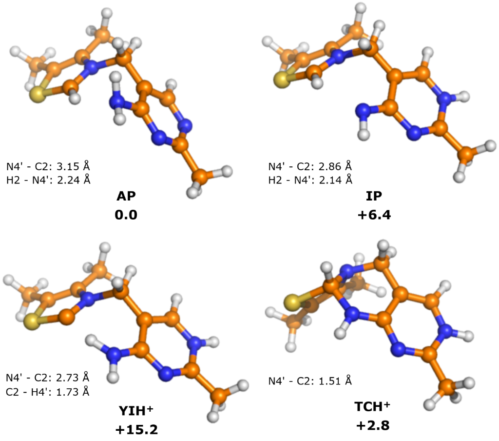 BJOC - Computational characterization of enzyme-bound thiamin ...