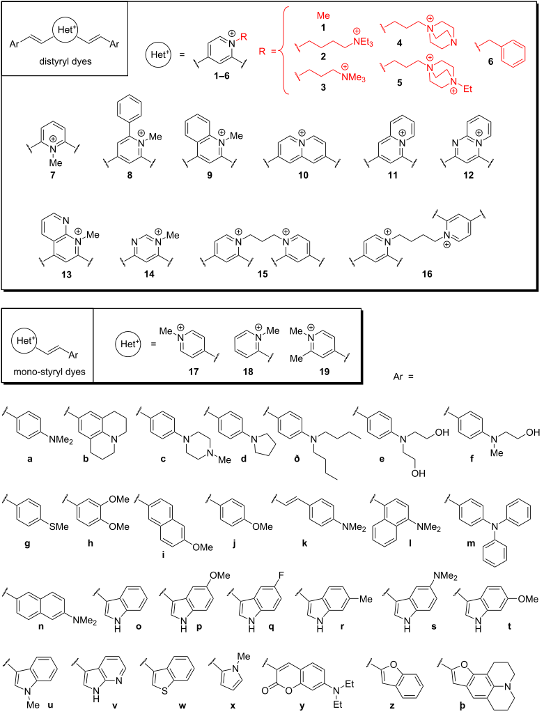 Identification of optimal fluorescent probes for G-quadruplex nucleic ...