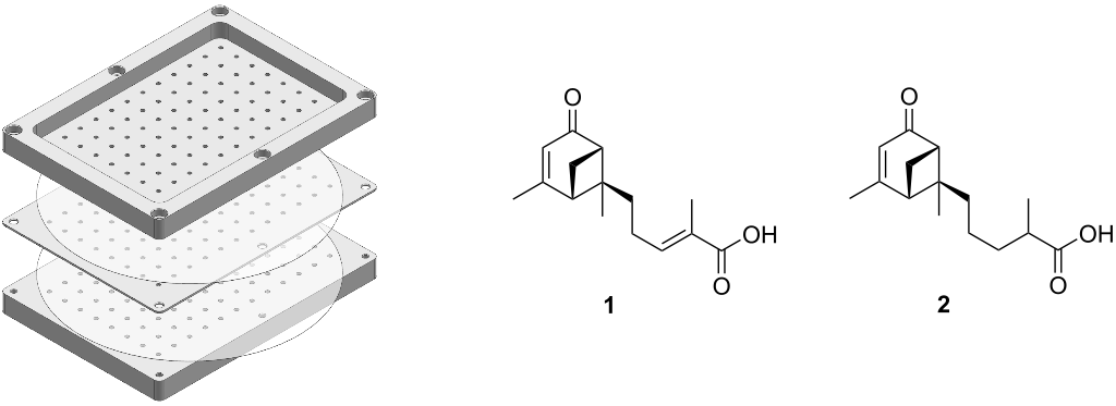 Isolation of fungi using the diffusion chamber device FIND technology