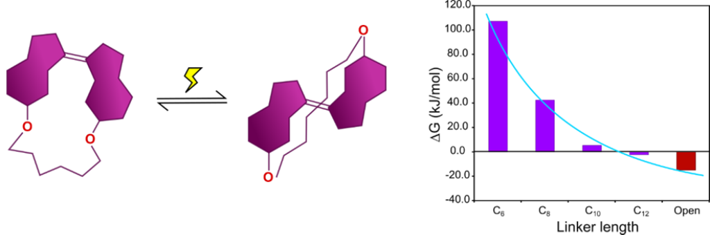 BJOC - Effect of ring size on photoisomerization properties of stiff ...
