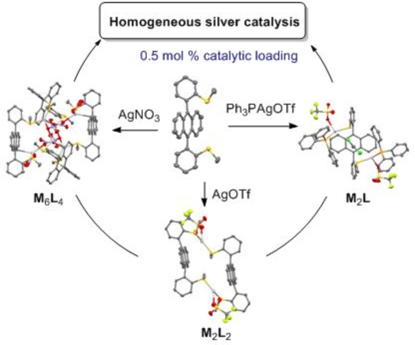 BJOC - Self-assembled coordination thioether silver(I) macrocyclic ...