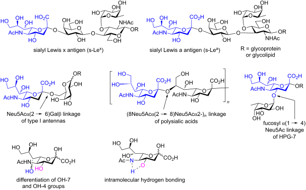 SnCl4-catalyzed solvent-free acetolysis of 2,7-anhydrosialic acid ...