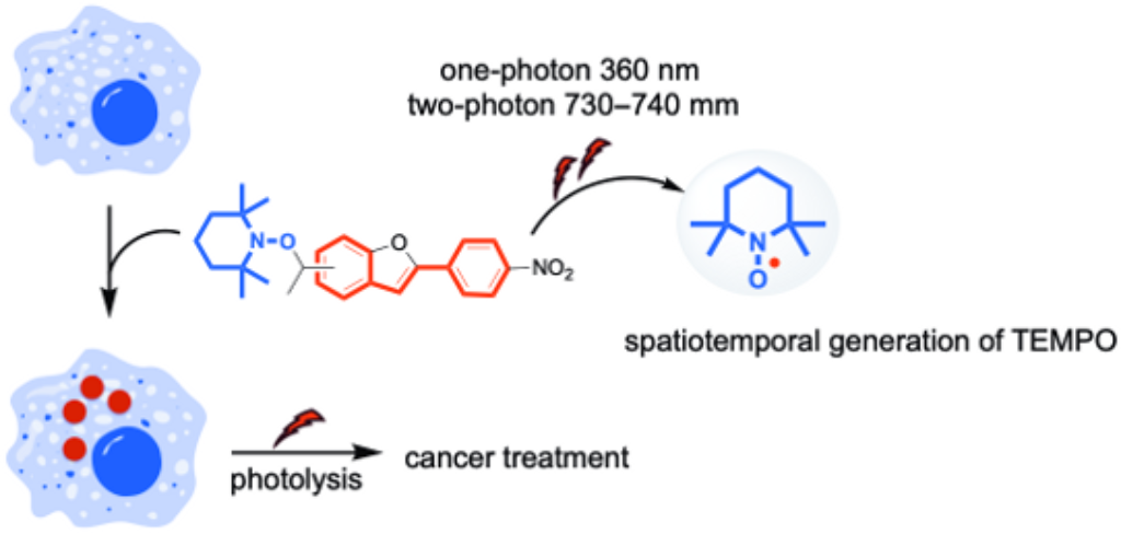 BJOC - Photochemical generation of the 2,2,6,6-tetramethylpiperidine-1 ...