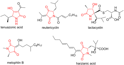 Microwave-assisted efficient and facile synthesis of tetramic acid ...