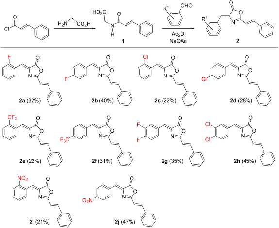 Synthesis of esters of diaminotruxillic bis-amino acids by Pd-mediated ...