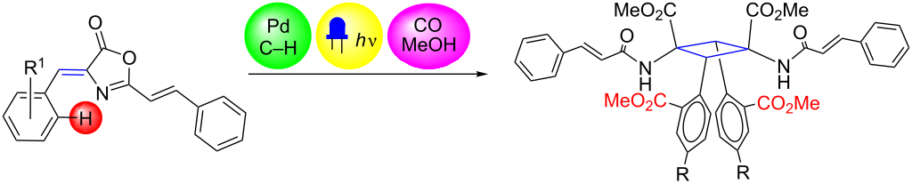Synthesis of esters of diaminotruxillic bis-amino acids by Pd-mediated ...