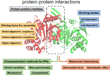 BJOC - Molecular basis for protein–protein interactions