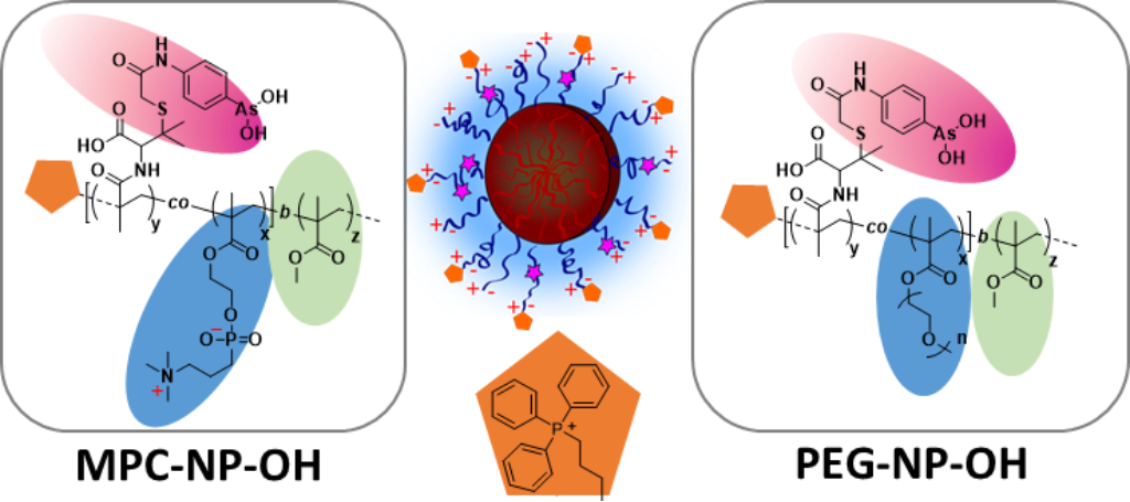 BJOC - Post-functionalization of drug-loaded nanoparticles prepared by ...