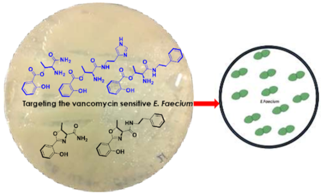 BJOC - Isolation and characterization of new phenolic siderophores with ...