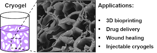 BJOC - Cryogels: recent applications in 3D-bioprinting, injectable ...