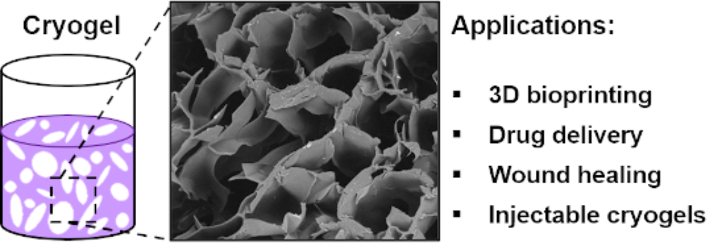 BJOC - Cryogels: recent applications in 3D-bioprinting, injectable ...