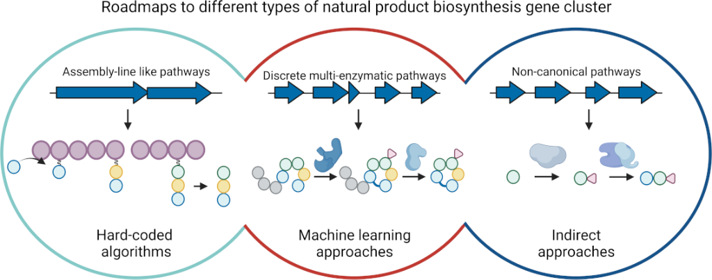 BJOC - Navigating and expanding the roadmap of natural product genome ...