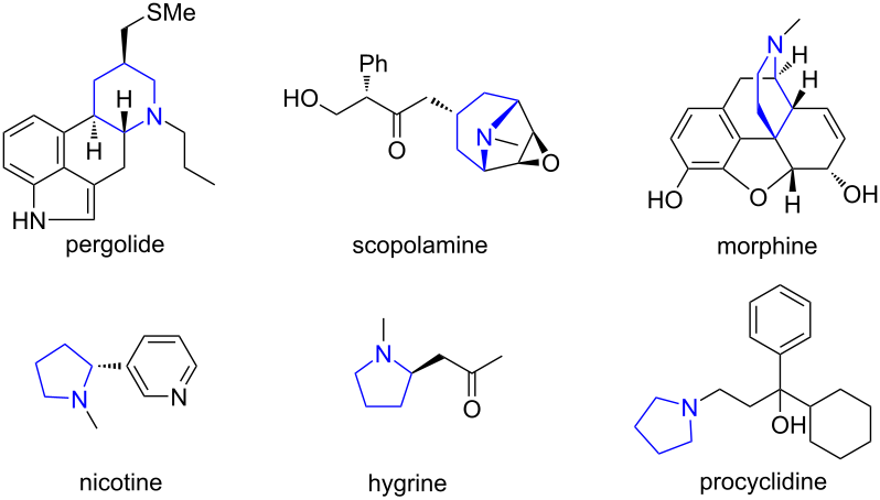 Synthesis of piperidine and pyrrolidine derivatives by electroreductive ...