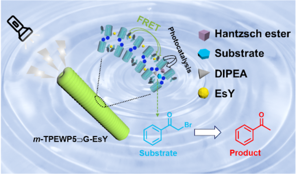 BJOC - Tetraphenylethylene-embedded pillar[5]arene-based orthogonal ...