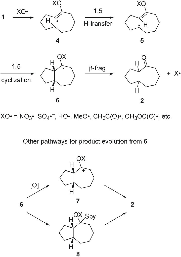 Do α-acyloxy and α-alkoxycarbonyloxy radicals fragment to form acyl and ...