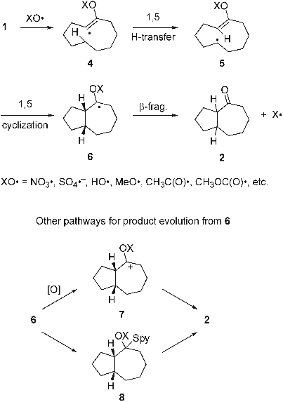 Do α-acyloxy and α-alkoxycarbonyloxy radicals fragment to form acyl and ...