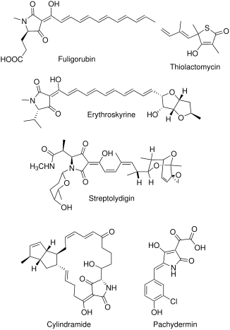 An efficient synthesis of tetramic acid derivatives with extended ...
